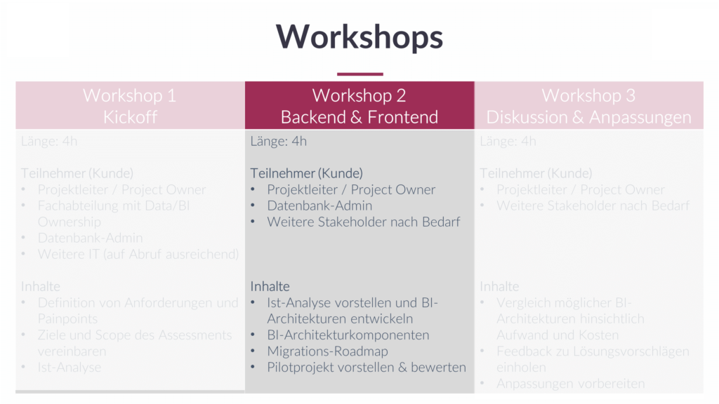Datalytics BI-Beratung - Power BI Performance Assessment